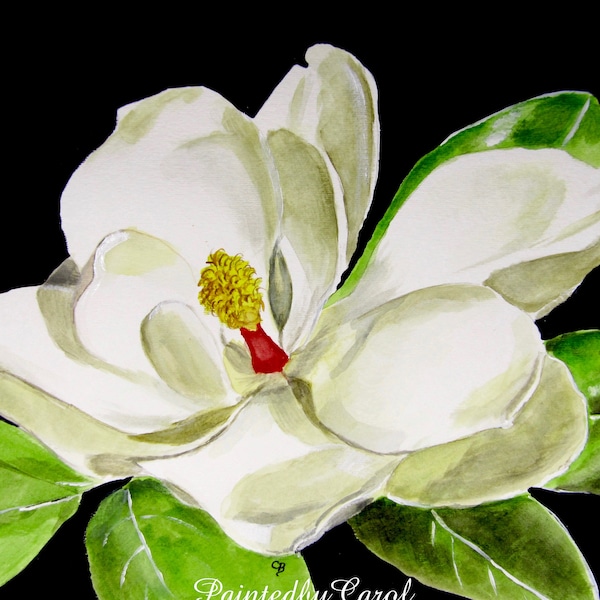 Magnolia Watercolor - Etsy