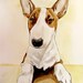 Bull Terrier Note Cards, Bull Terrier Stationery, Bull Terrier Blank ...