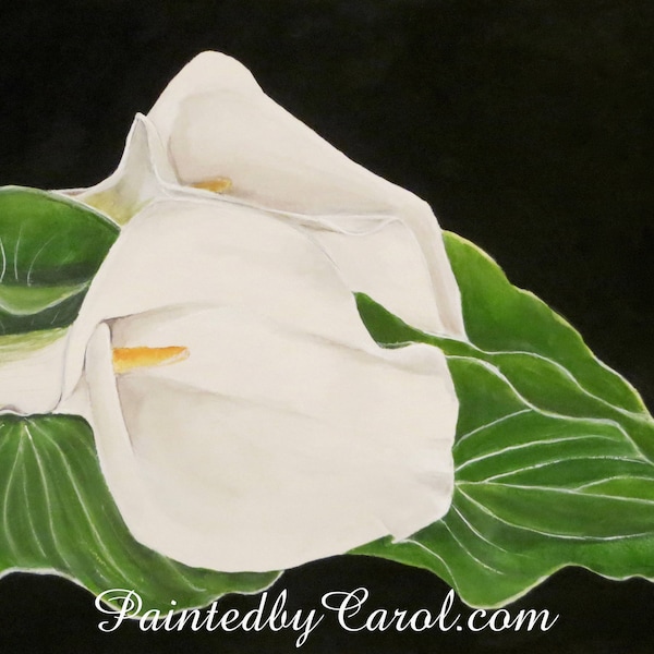 Calla Lily Art - Etsy