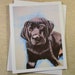 Black Lab Note Cards Labrador Retriever Stationery Black Lab - Etsy