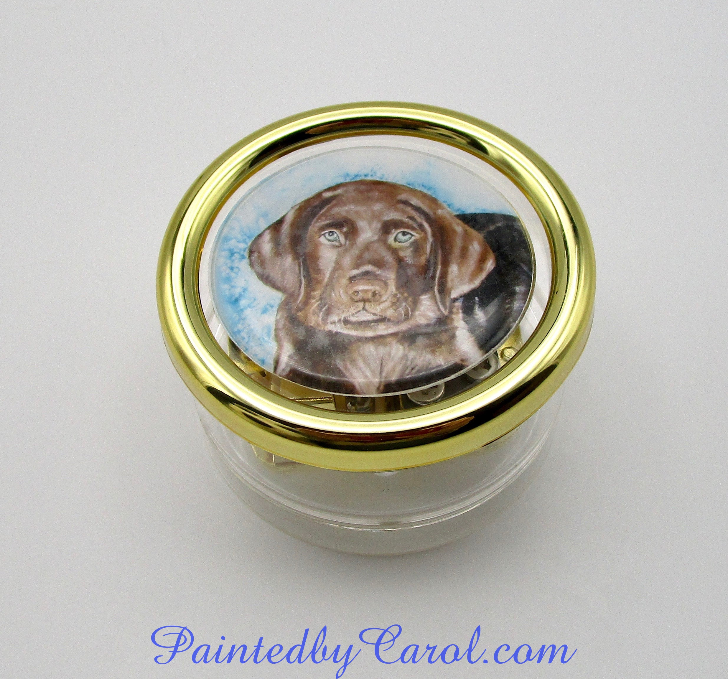 Box Of Chocolate Labs