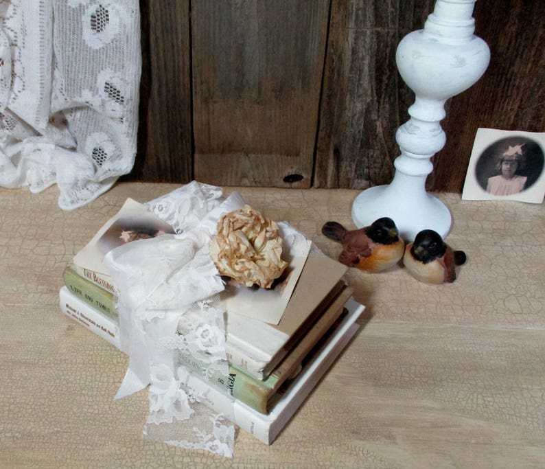 Decorative Book Bundle / Shabby Chic Cottage / French Farmhouse ...