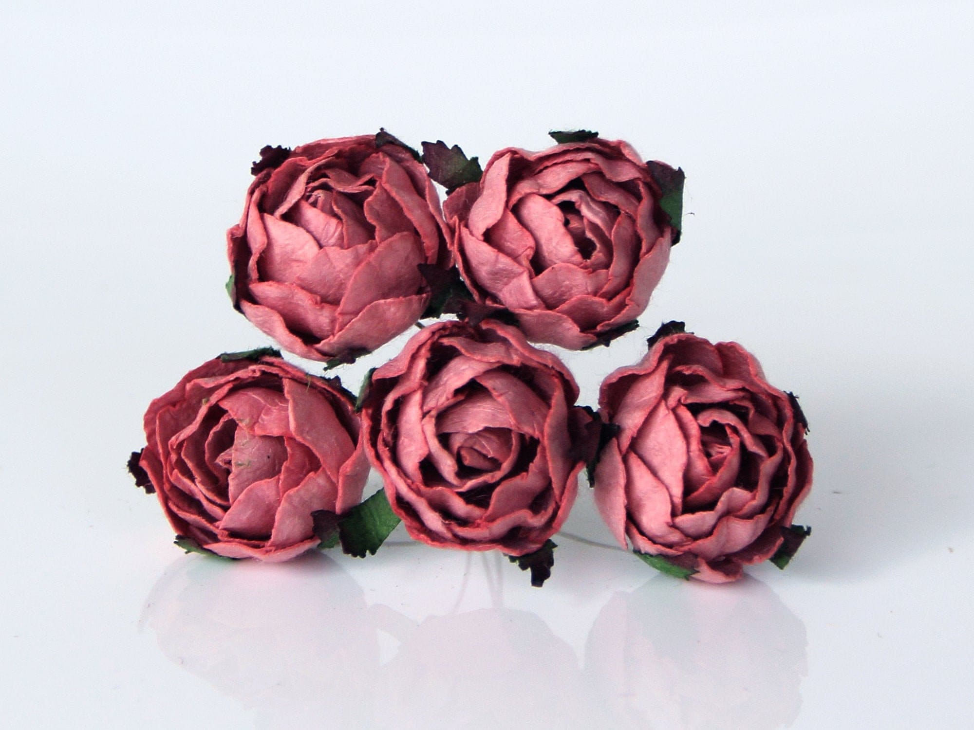 25 pcs Maroon Ranunculus / Maroon peonies / wholesale pack | Etsy