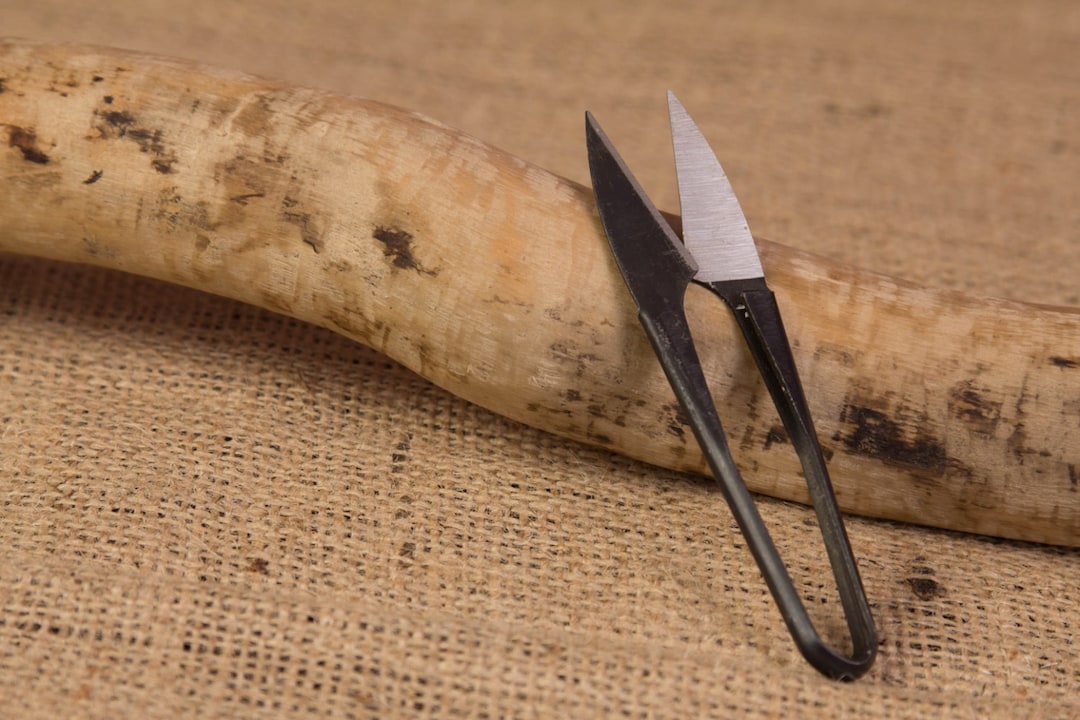 Primitive Iron Snips - Etsy