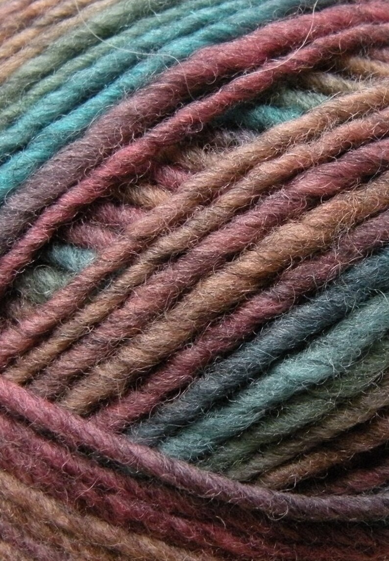 Brown Sheep Lanaloft Worsted Handpaint Wool Yarn Autumn Run - Etsy