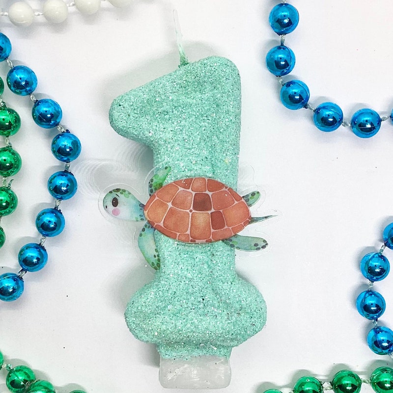 Glitter Turtle - Etsy