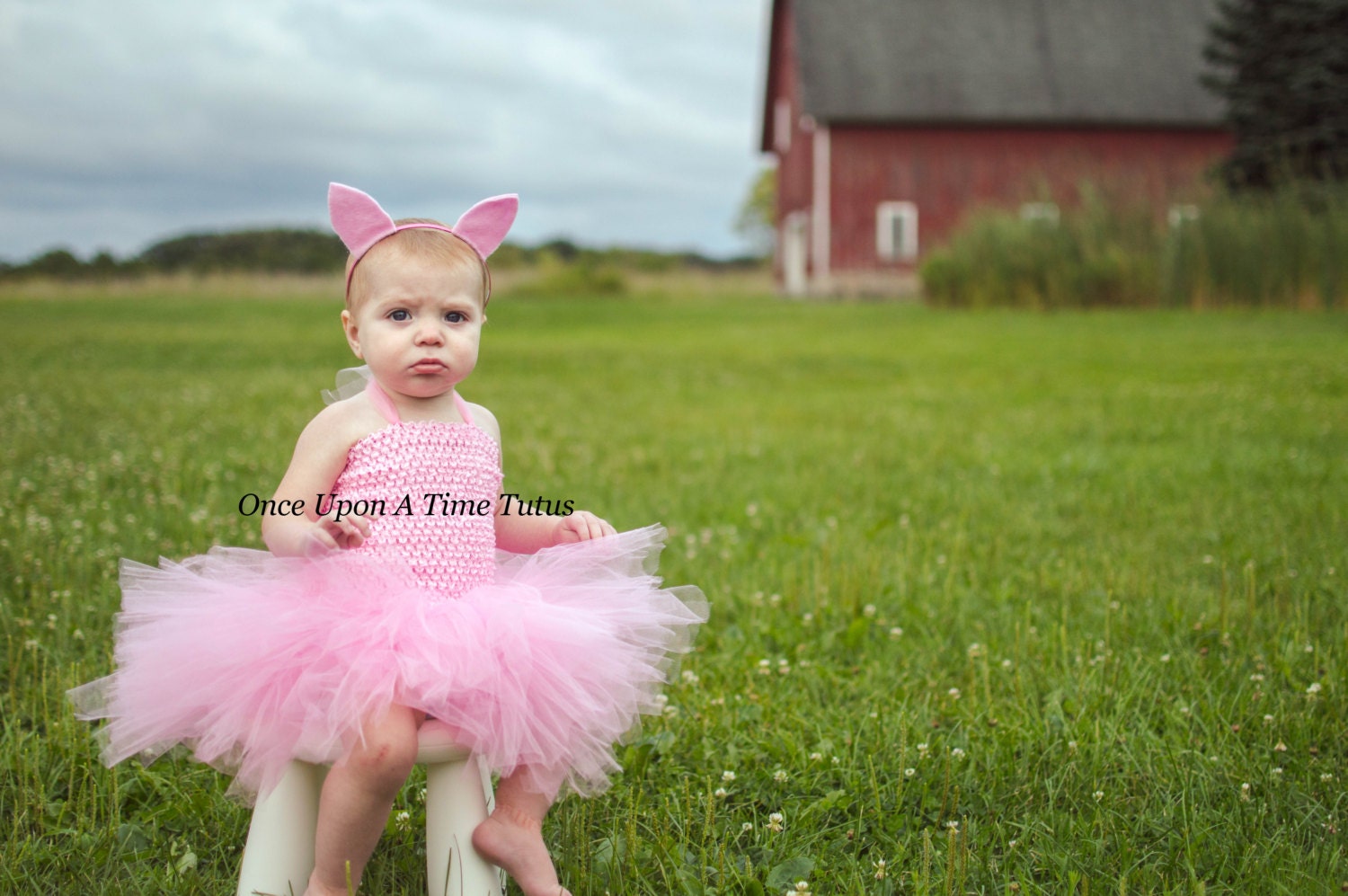 Pig Tutu Dress Pig Halloween Costume Childens Tutu Dress - Etsy