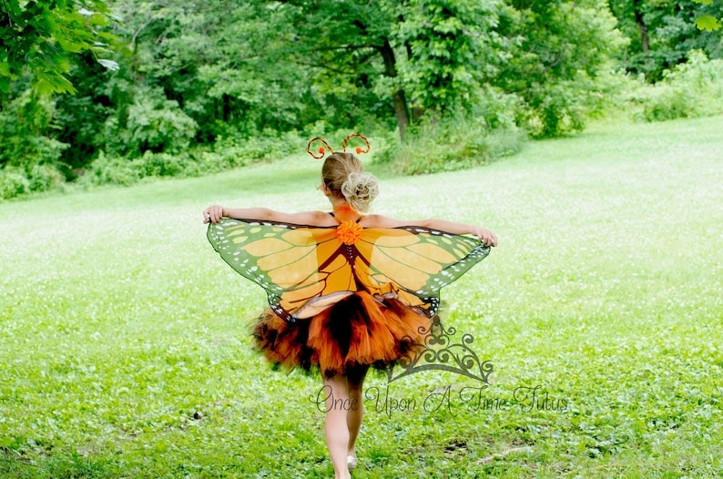 Blue Butterfly Halloween Costume, Girls Butterfly Dress, Toddler ...