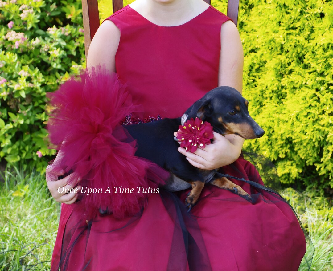 Maroon Dog Tutu, Dog Tutu, Puppy Tutu Skirt, Dog Halloween Costume, Fur ...