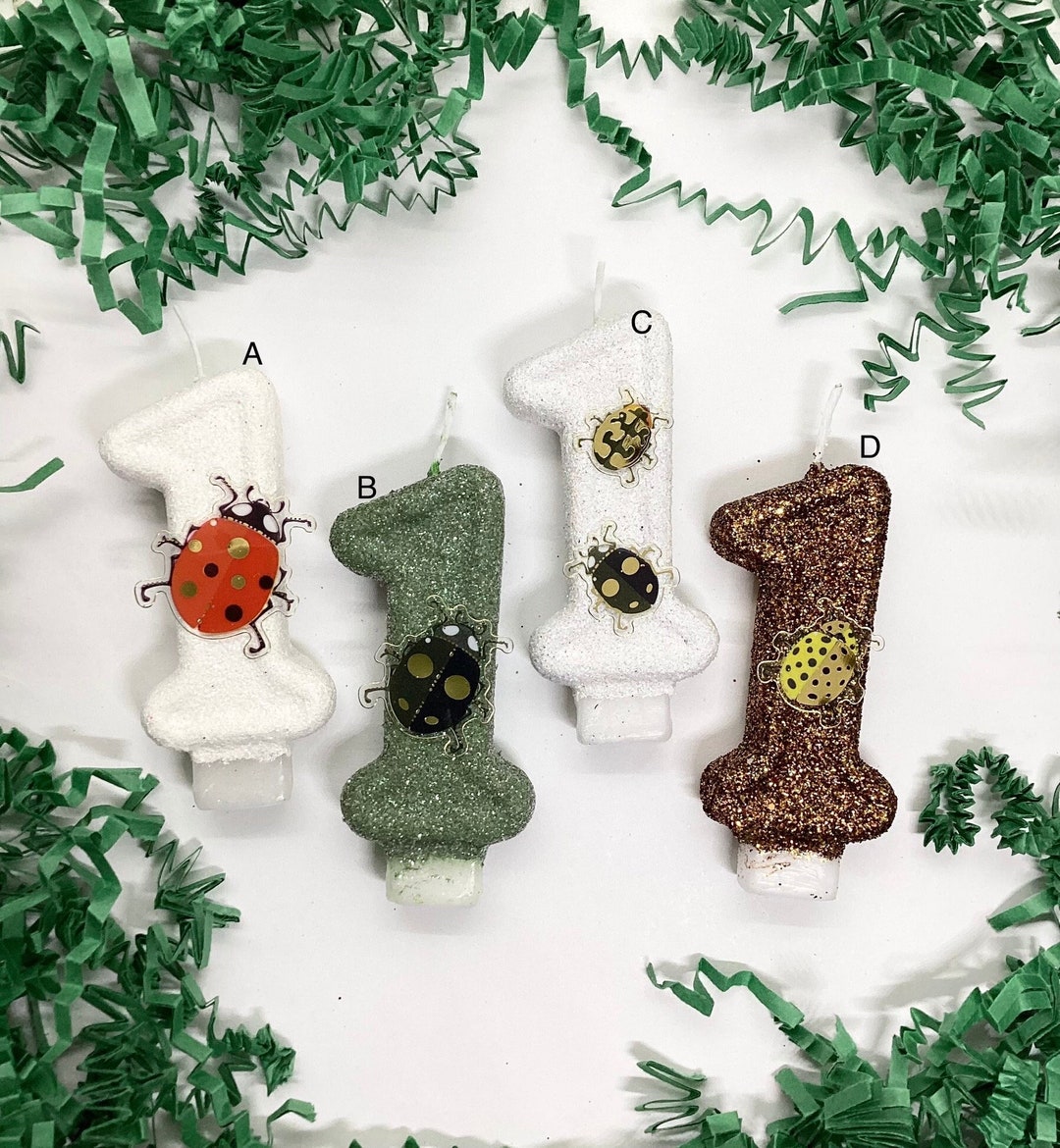 Insect Birthday Candle, Kids Bug Party, Boys Insect Theme Party Decor ...