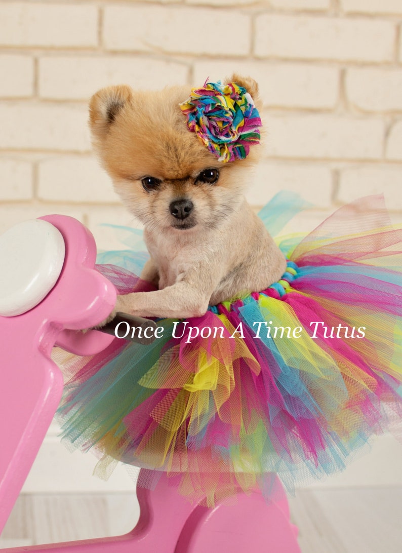 Rainbow Dog Tutu Dog Tutu Puppy Tutu Skirt Dog Halloween | Etsy
