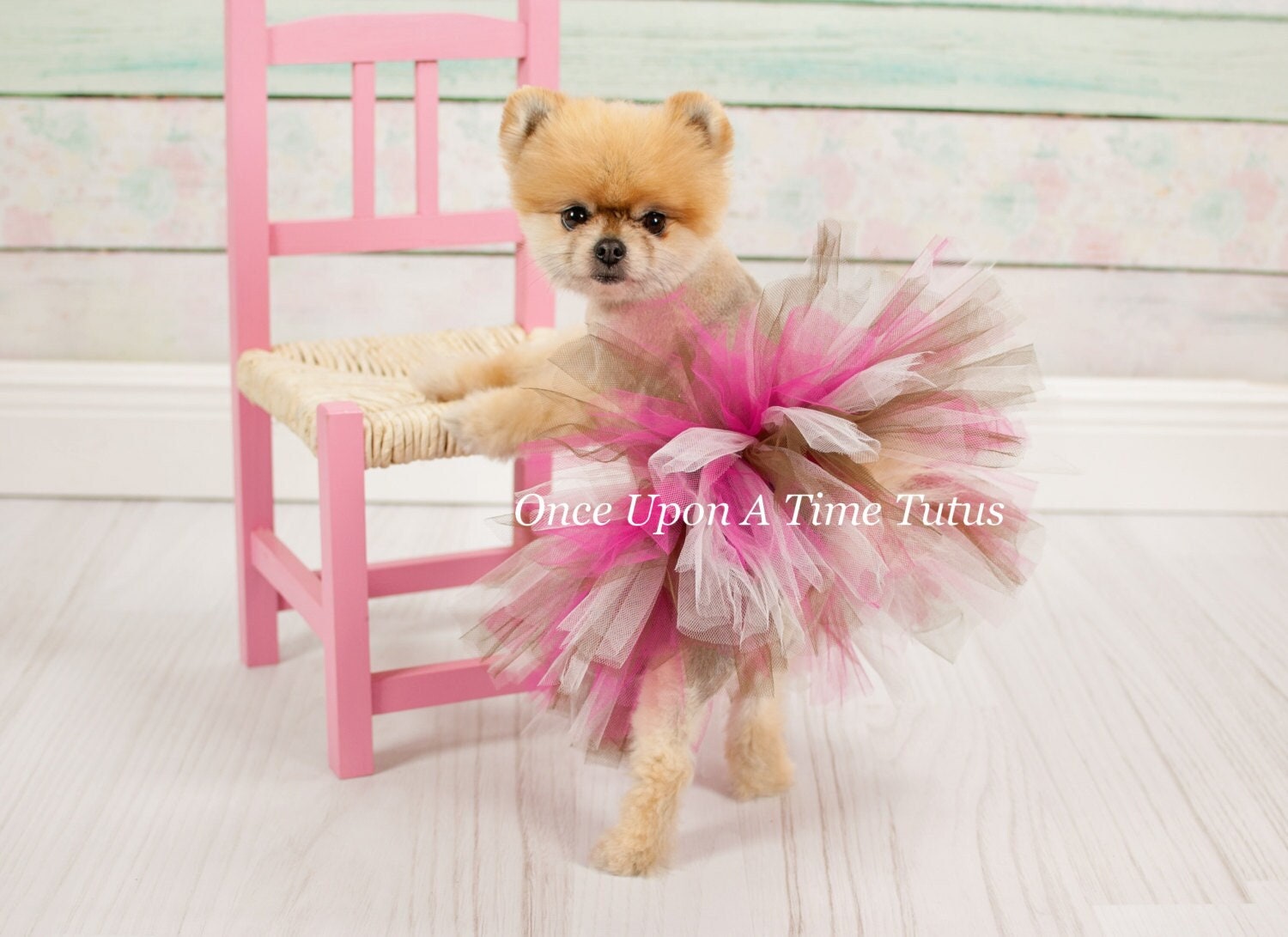Pink Dog Tutu