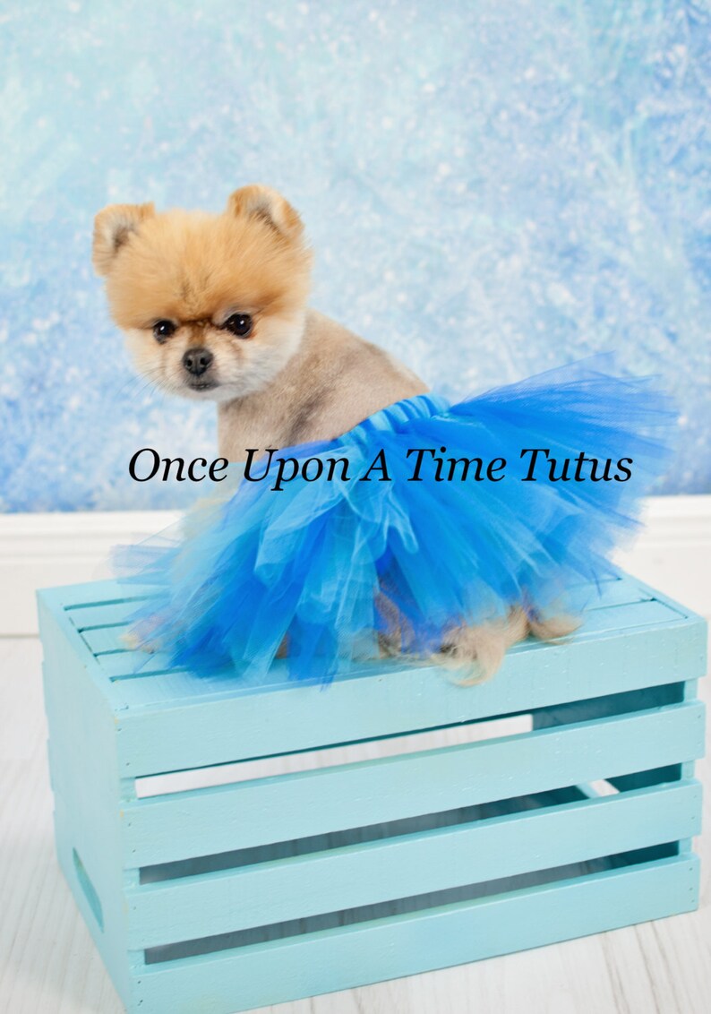 Blue Dog Tutu Dog Tutu Puppy Tutu Skirt Dog Halloween - Etsy
