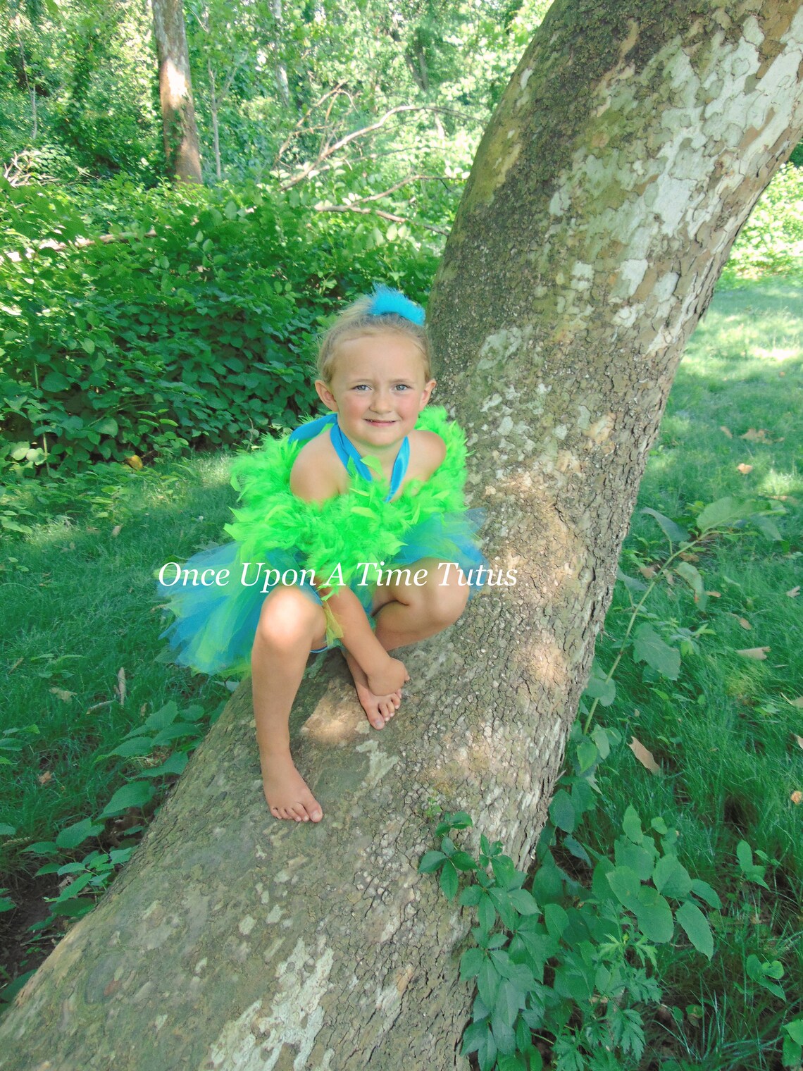 Blue Green Bird Costume, Bird Feather Dress, Halloween Costume, Kids ...