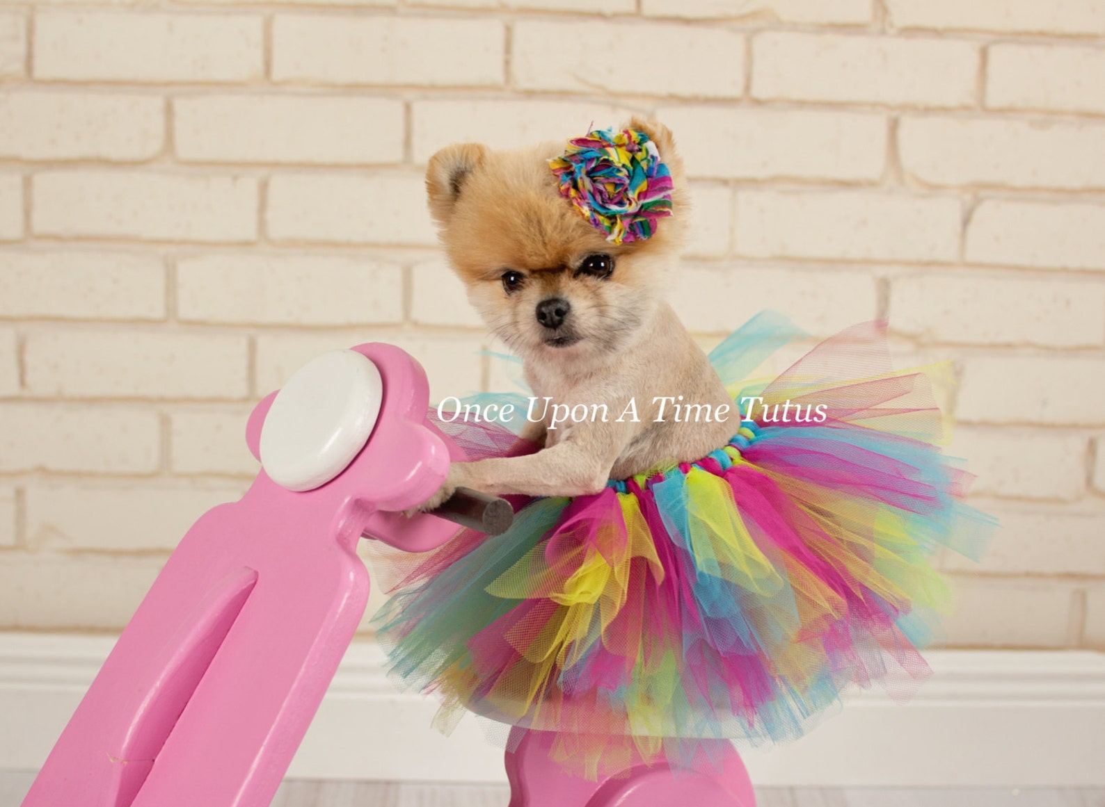 Rainbow Dog Tutu Dog Tutu Puppy Tutu Skirt Dog Halloween | Etsy