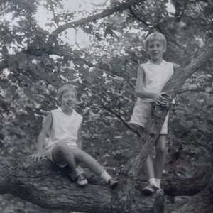 Original Vintage Photograph | Twins in the Trees - Etsy