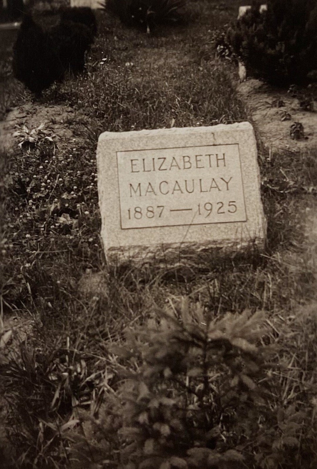 Original Antique Photograph | Elizabeth Macaulay - Etsy