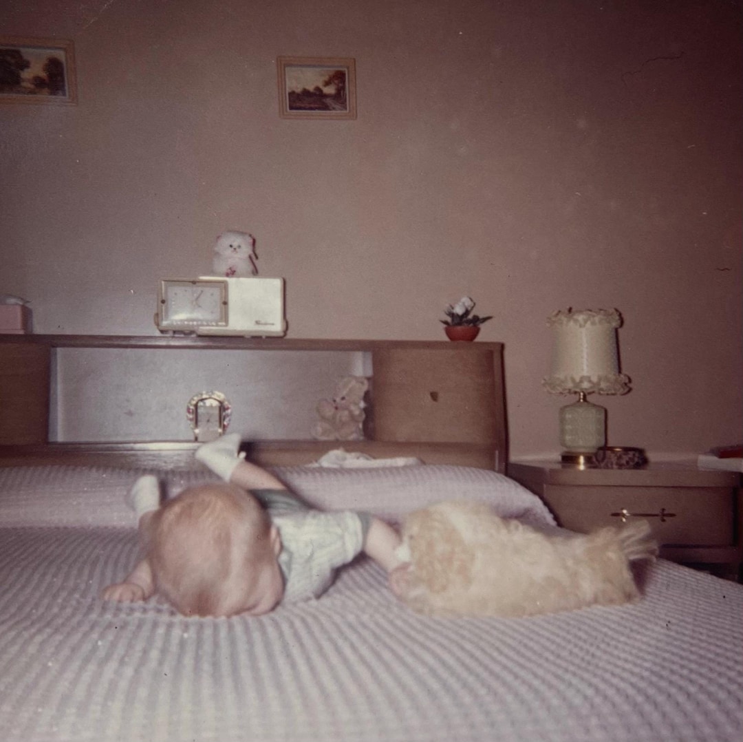 Original Vintage Color Photograph | Baby Trouble - Etsy