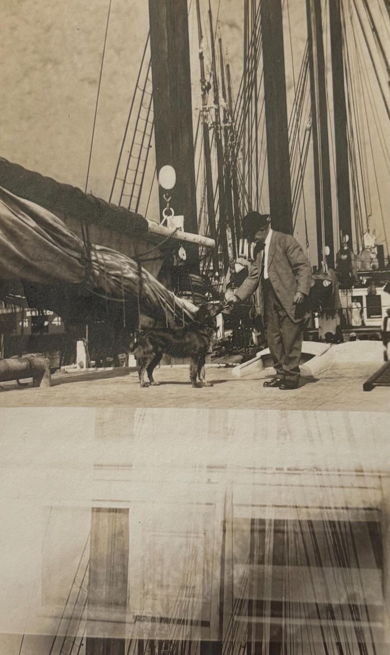 Original Antique Photograph | Ship Dog - Etsy