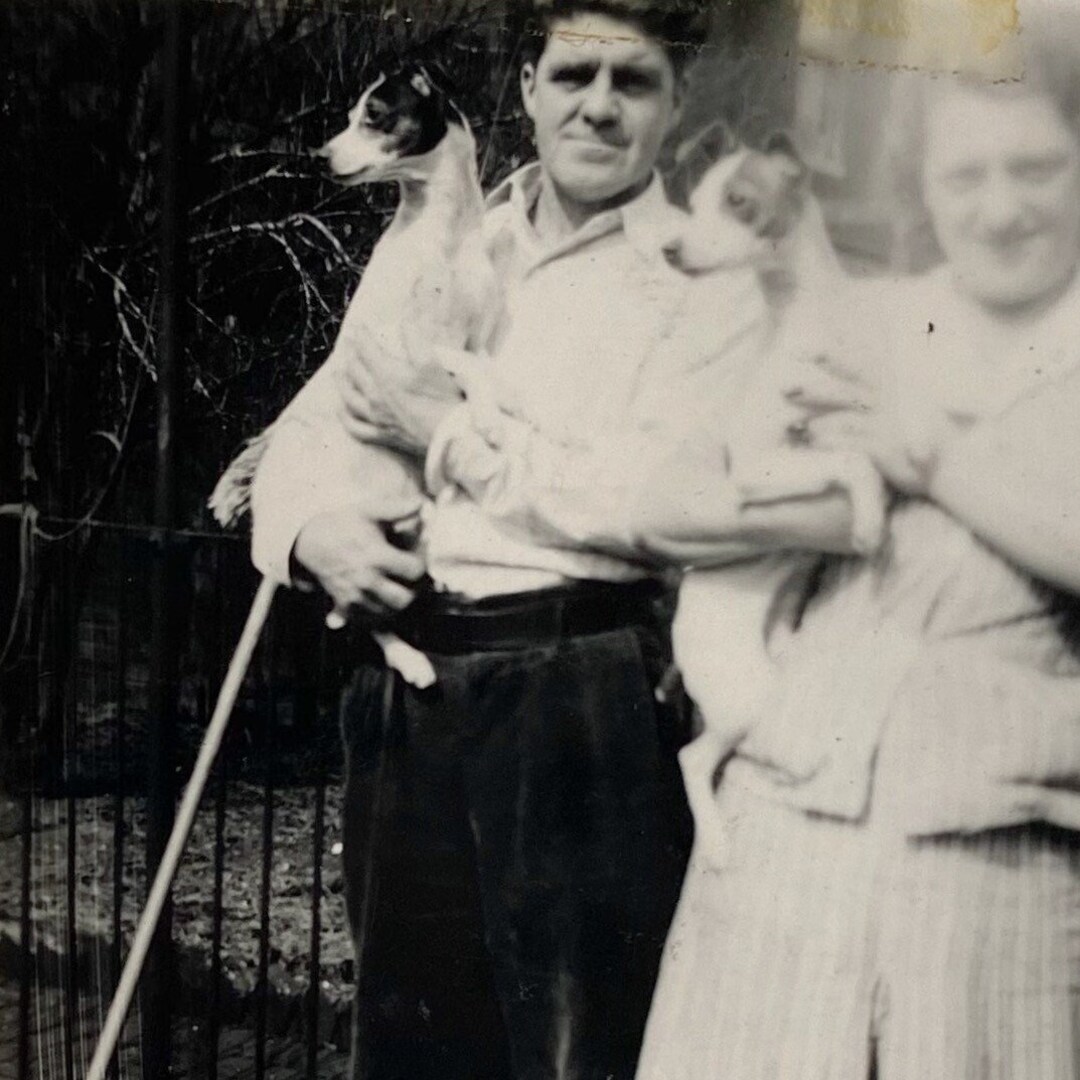 Original Antique Photograph | Jack Russell Twins - Etsy