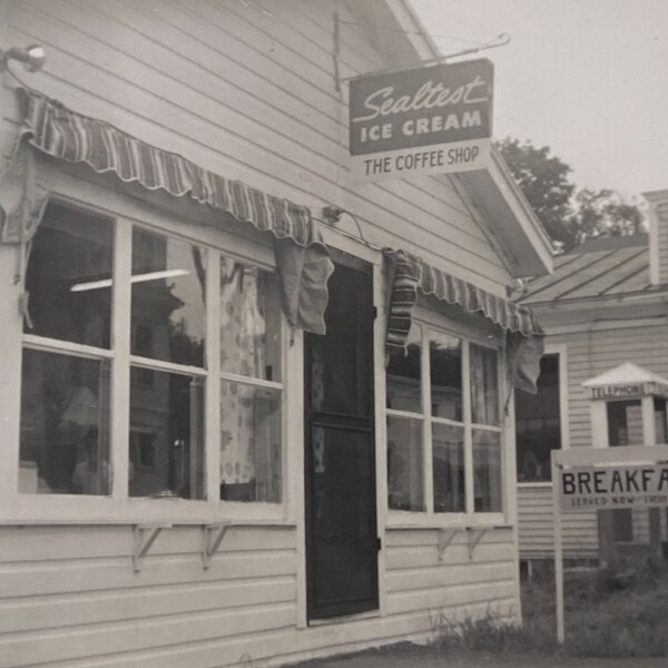 Sealtest Ice Cream - Etsy