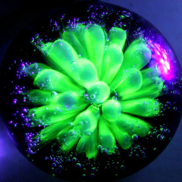 Flamework Glass - Etsy