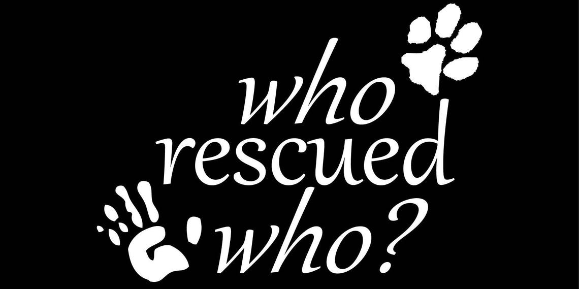 Animal Rescue Stickers, Animal Rescue, Rescue Stickers, Who Rescued Who ...