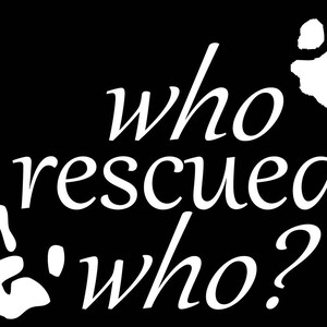 Animal Rescue Stickers, Animal Rescue, Rescue Stickers, Who Rescued Who ...
