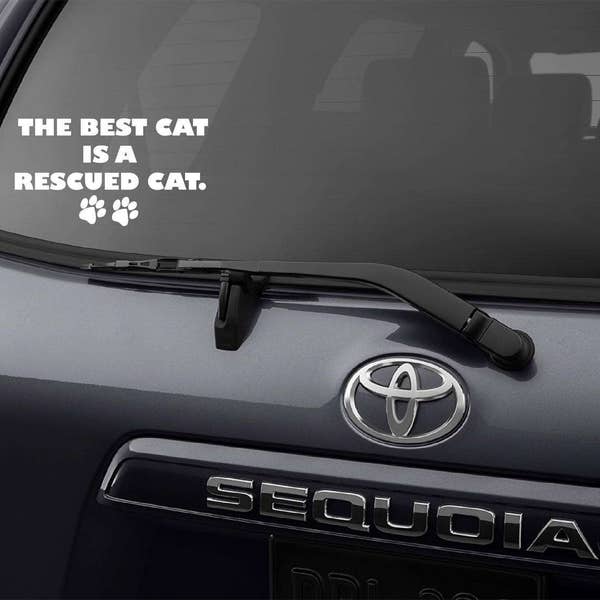 Cat Rescue Decal - Etsy