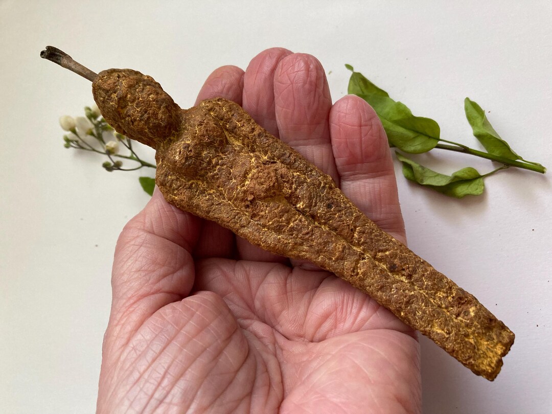 Rare and Mysterious Nareepol Tree Fruit Maiden, Fertility Amulet From ...