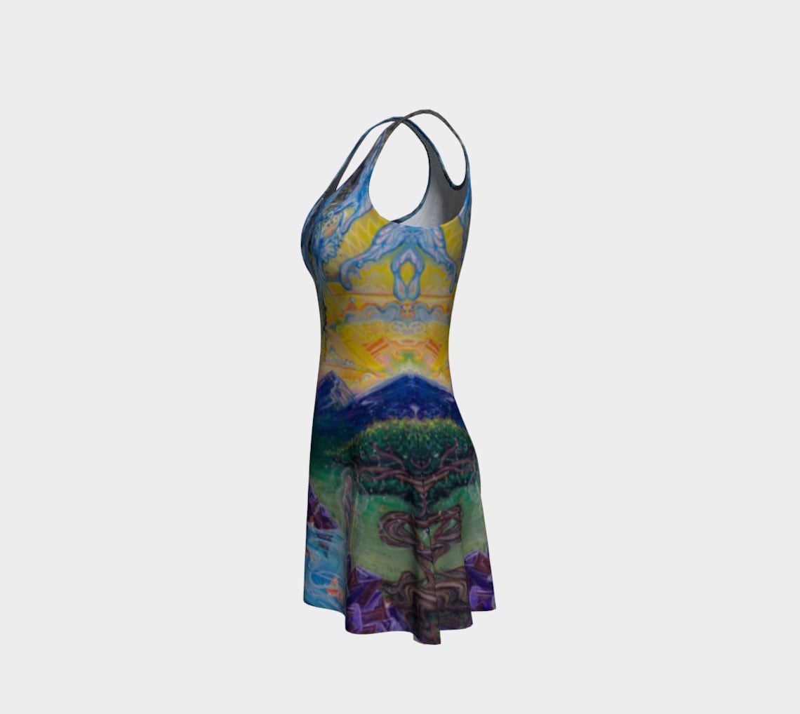 Art Dress, Painting Dress, Wearable Art, Masters Painting Art Dress ...