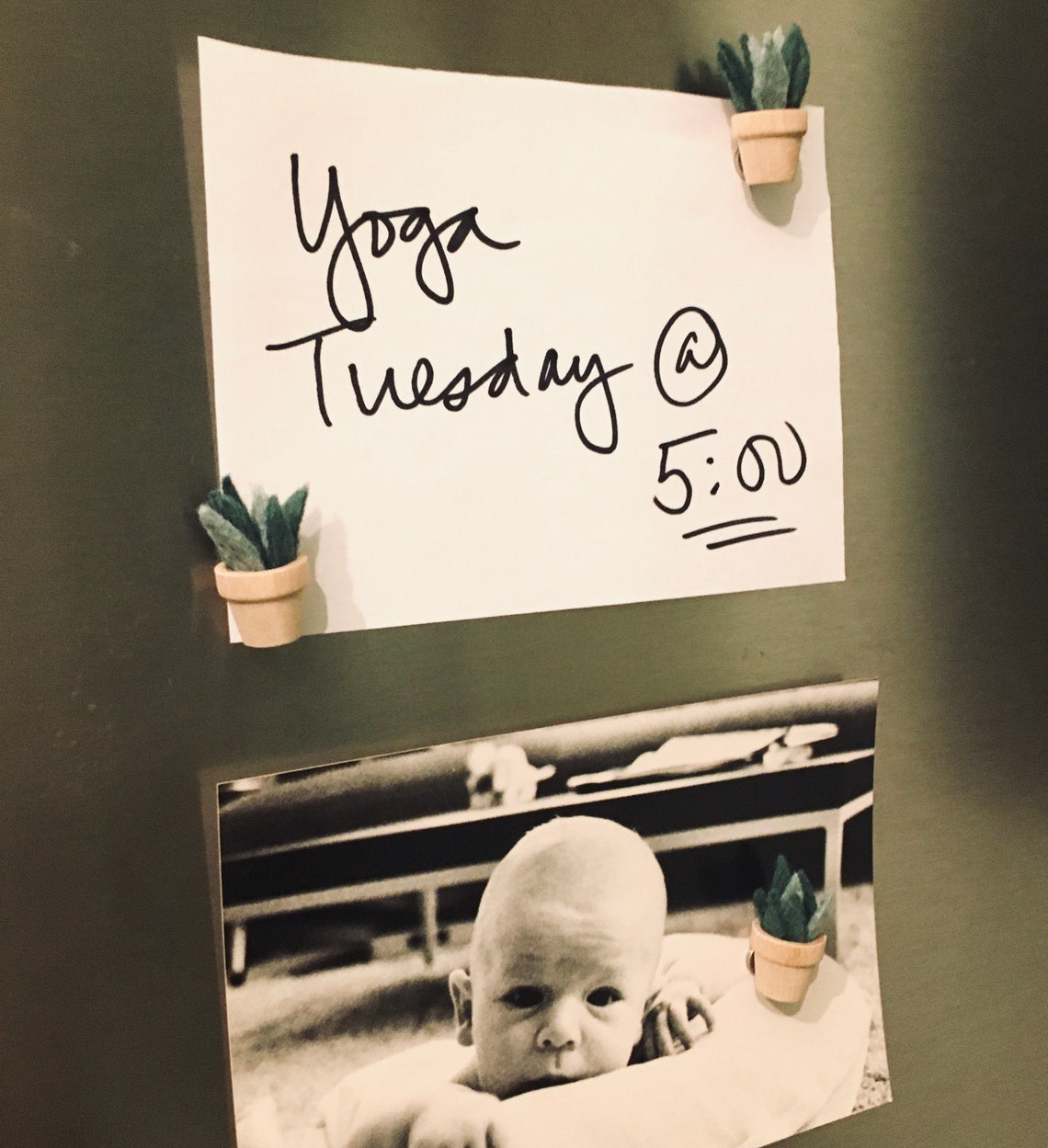 Felt Succulent Magnets, Set of 3, Plant Magnet, Miniature Plant Magnets ...