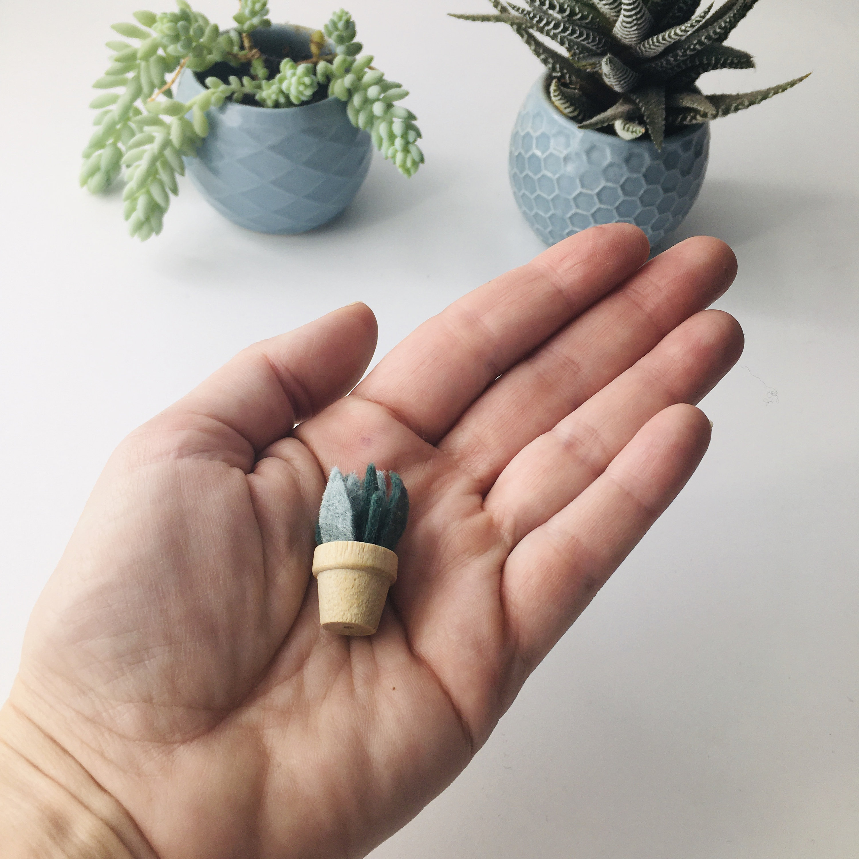 Felt Succulent Magnets, Set of 3, Wool Plant in Wooden Pot - Etsy