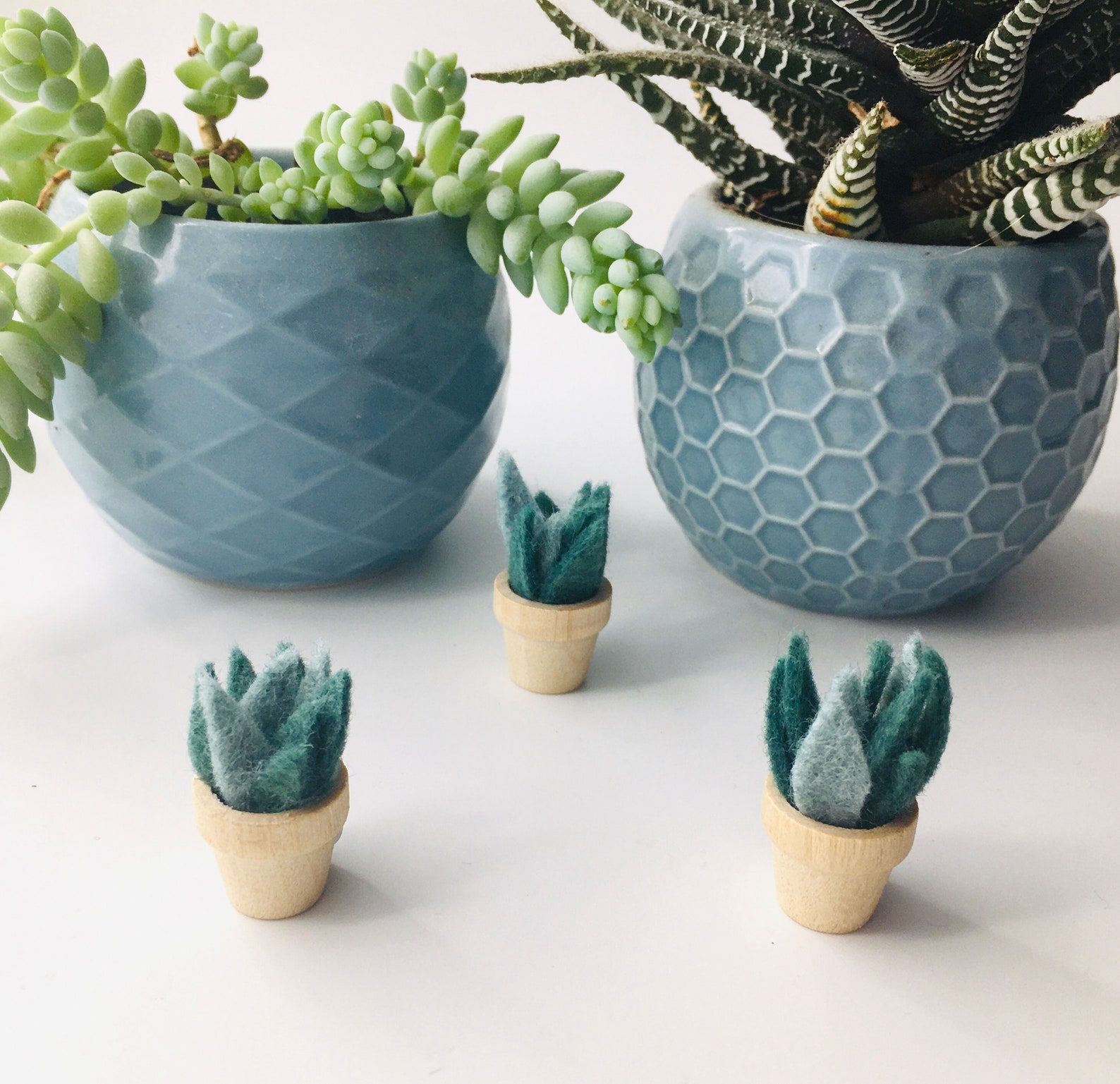 Felt Succulent Magnets, Set of 3, Plant Magnet, Miniature Plant Magnets ...