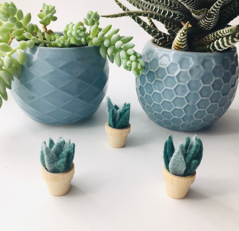 Felt Succulent Magnets, Set of 3, Plant Magnet, Miniature Plant Magnets ...