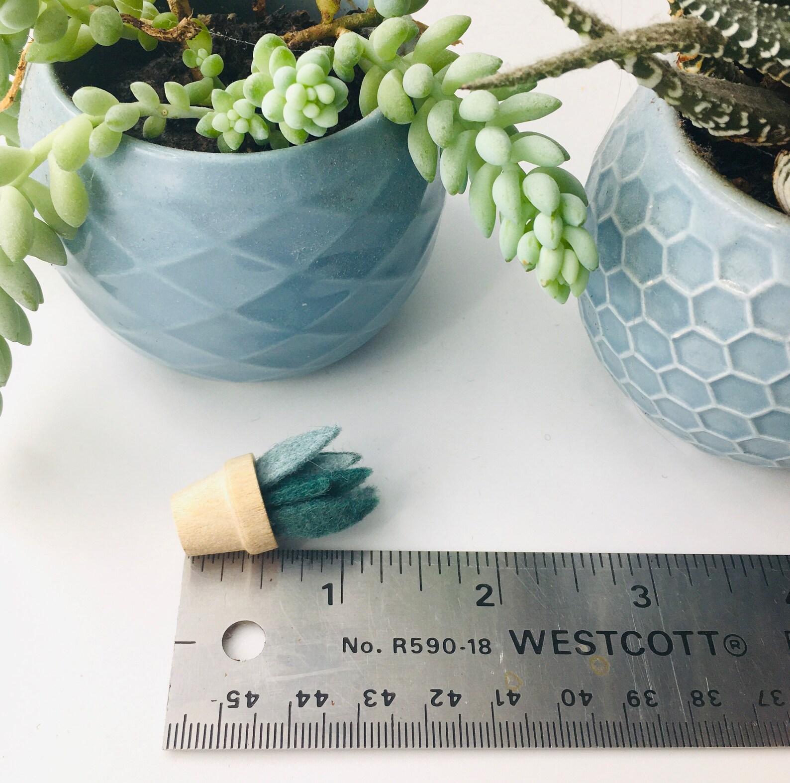 Felt Succulent Magnets, Set of 3, Plant Magnet, Miniature Plant Magnets ...