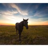Rural Country Prairie Farmland Clouds Midwest Nebraska Fine Art ...