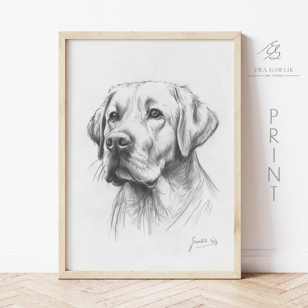 PRINT of Labrador Pet Portrait Drawing, Sketch of Labrador Dog ...
