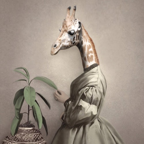 Punk Cat Art Print Pet Portrait Animals in Clothes Animal - Etsy