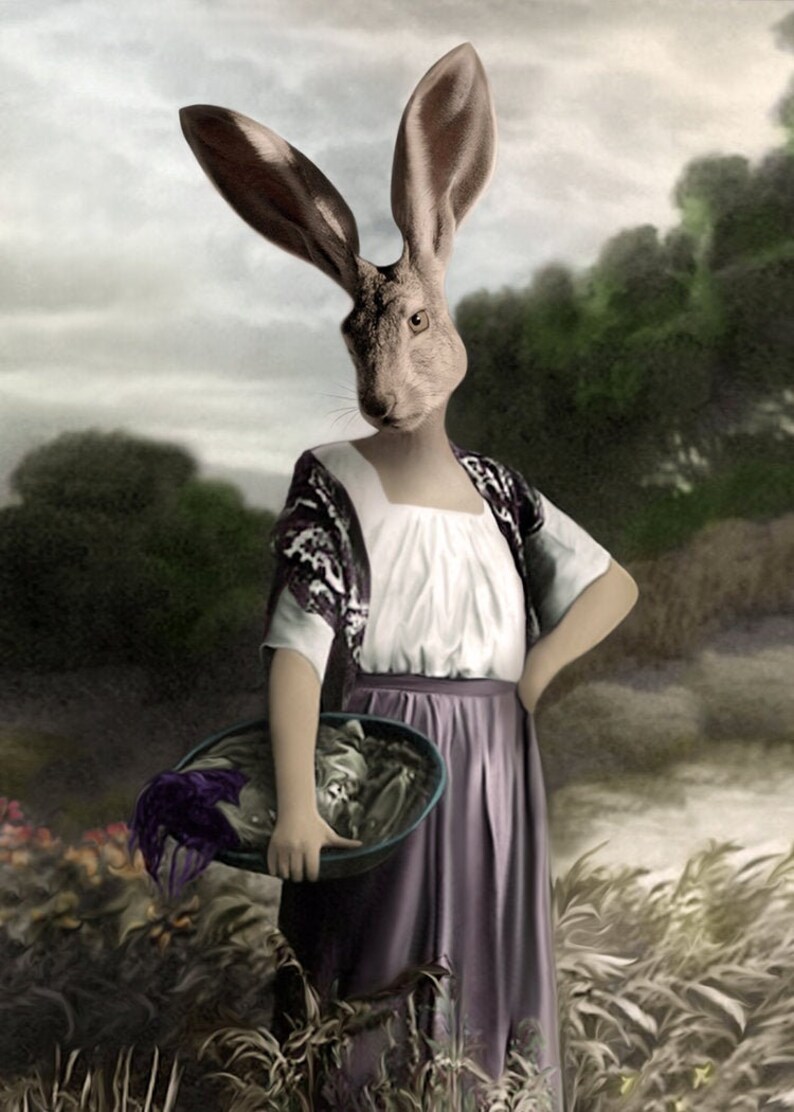Miss Rabbit | Spoof Wiki | Fandom