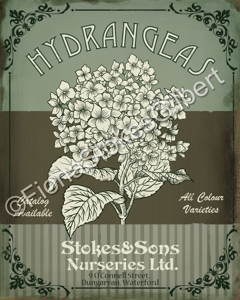 Vintage Look Flower Sign, "hydrangeas", Retro Flower Shop Print - Etsy
