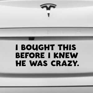 Elon Crazy Bumper Sticker - Etsy
