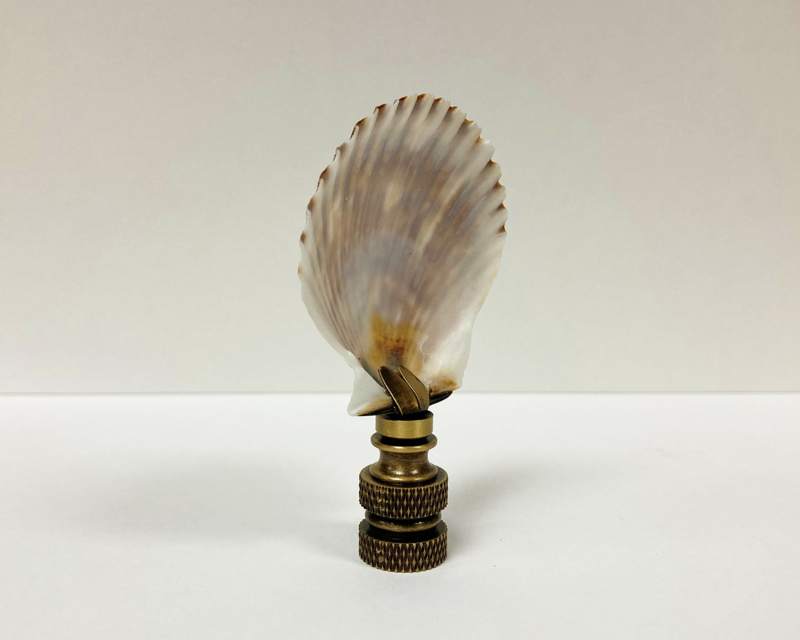 Lamp Finial-sea SCALLOP SHELL W/polished or Antique Brass Finish Base ...