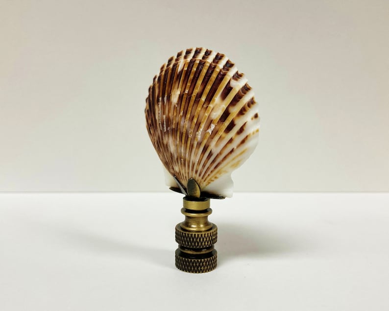 Lamp Finial-sea SCALLOP SHELL W/polished or Antique Brass Finish Base ...