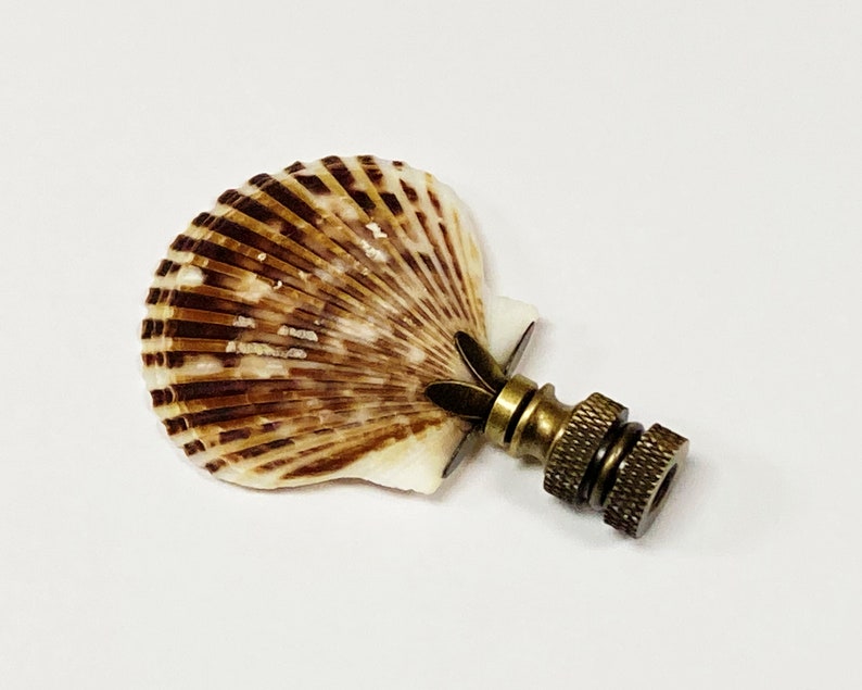 Lamp Finial-sea SCALLOP SHELL W/polished or Antique Brass Finish Base ...
