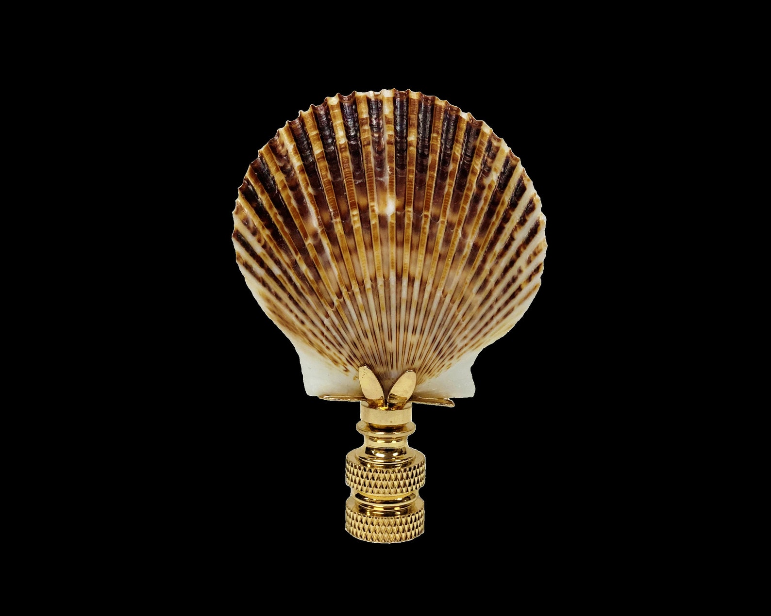 Lamp Finial-sea SCALLOP SHELL W/polished or Antique Brass Finish Base ...
