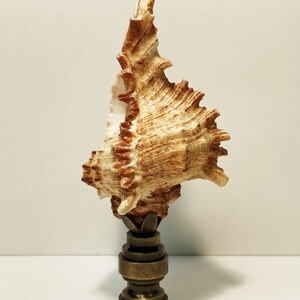 Lamp Finial-sea SNAIL SHELL W/polished or Antique Brass Finish Base (1 ...