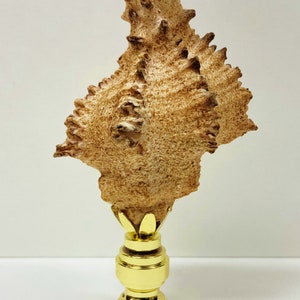 Lamp Finial-sea SNAIL SHELL W/polished or Antique Brass Finish Base (1 ...