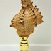 Lamp Finial-sea SNAIL SHELL W/polished or Antique Brass Finish - Etsy