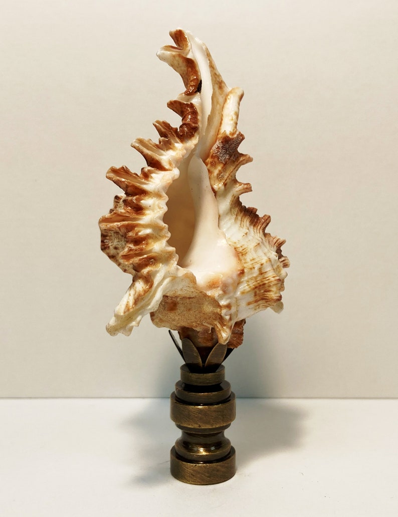 Lamp Finial-sea SNAIL SHELL W/polished or Antique Brass Finish Base (1 ...